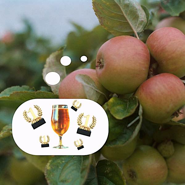 Alcohol Reviews, Ratings, Facts and More | Tastings